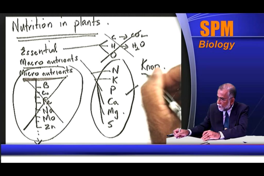 BIO-F4-T06-19 – Nutrition in Plant- macronutrients and micronutrients ...