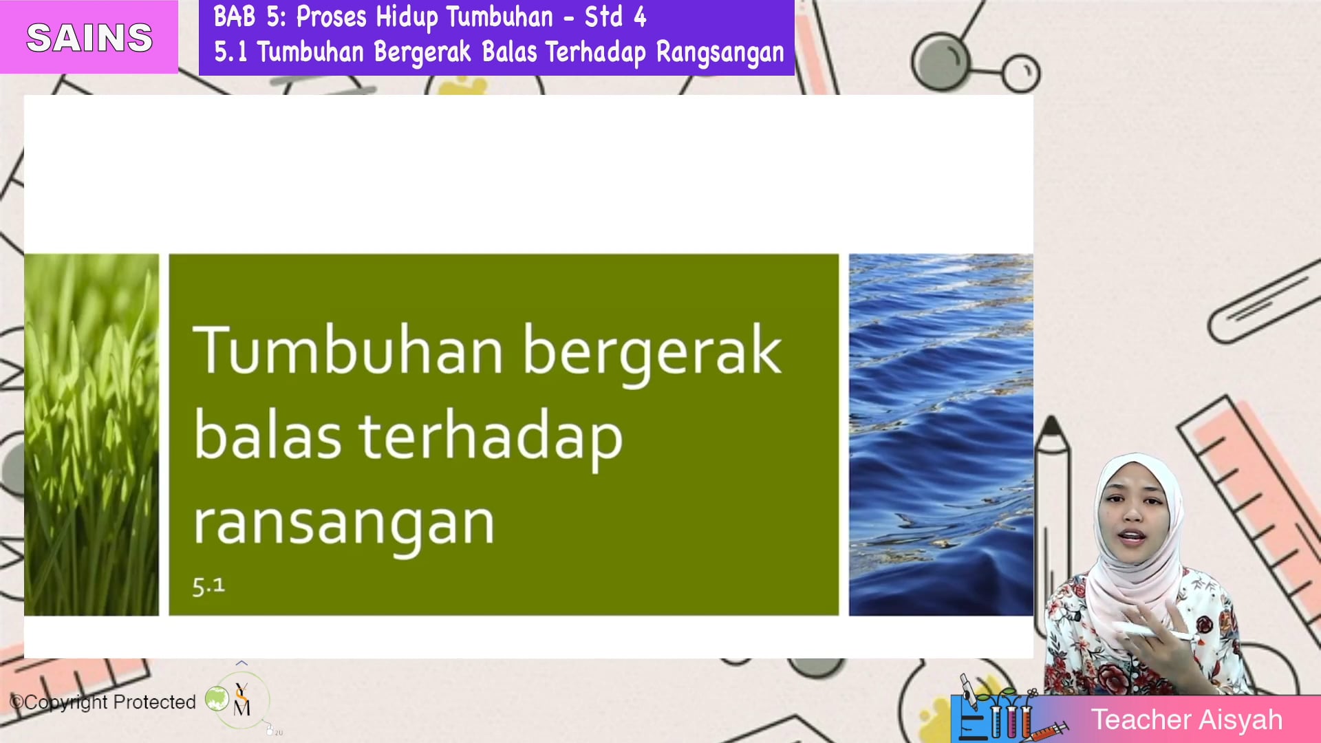 S4_SAI_05_01 Tumbuhan Bergerak Balas Terhadap Rangsangan (Bhg 1) – Jom ...