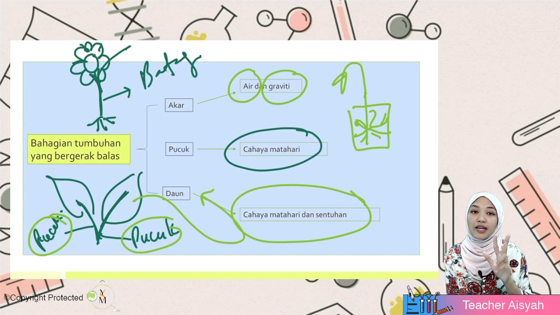 S4_SAI_05_02 Tumbuhan Bergerak Balas Terhadap Rangsangan (Bhg 2) – Jom ...