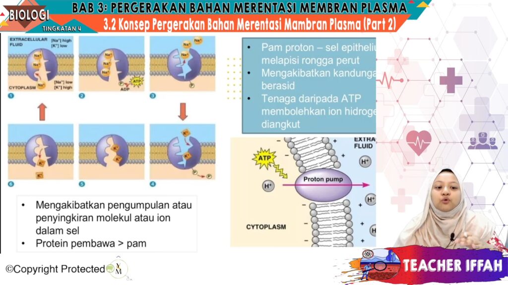Topik 03: Pergerakan Bahan Merentasi Membran Plasma – Jom Tuisyen
