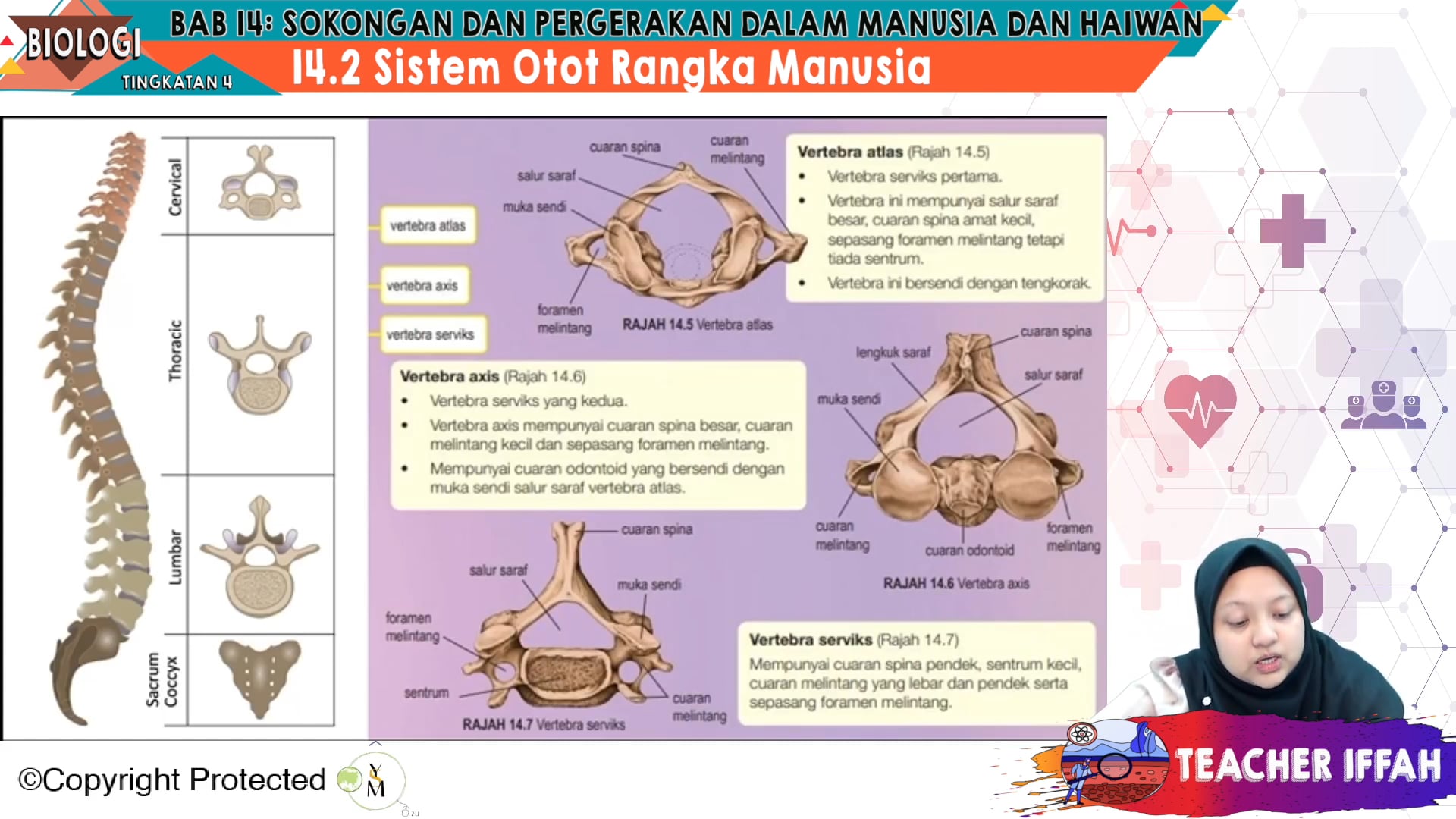 Topik 14: Sokongan dan Pergerakan dalam Manusia dan Haiwan – Jom Tuisyen